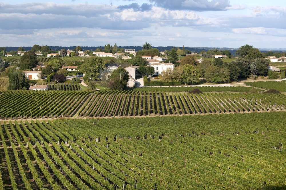 Clos du Roy | Vignobles Hermouet