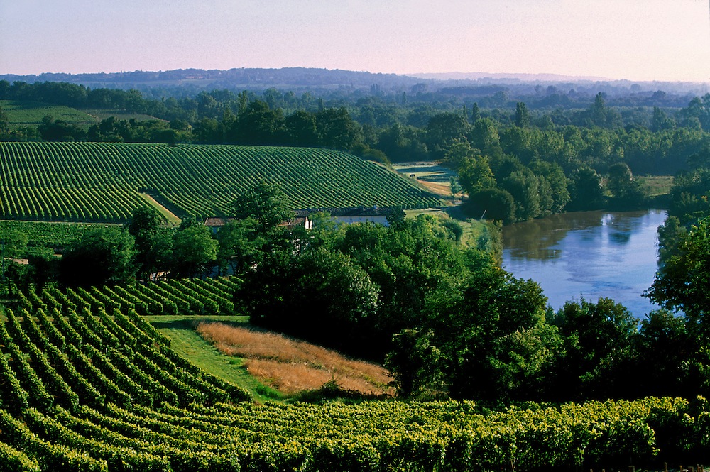 L’appellation Fronsac | Vignobles Hermouet